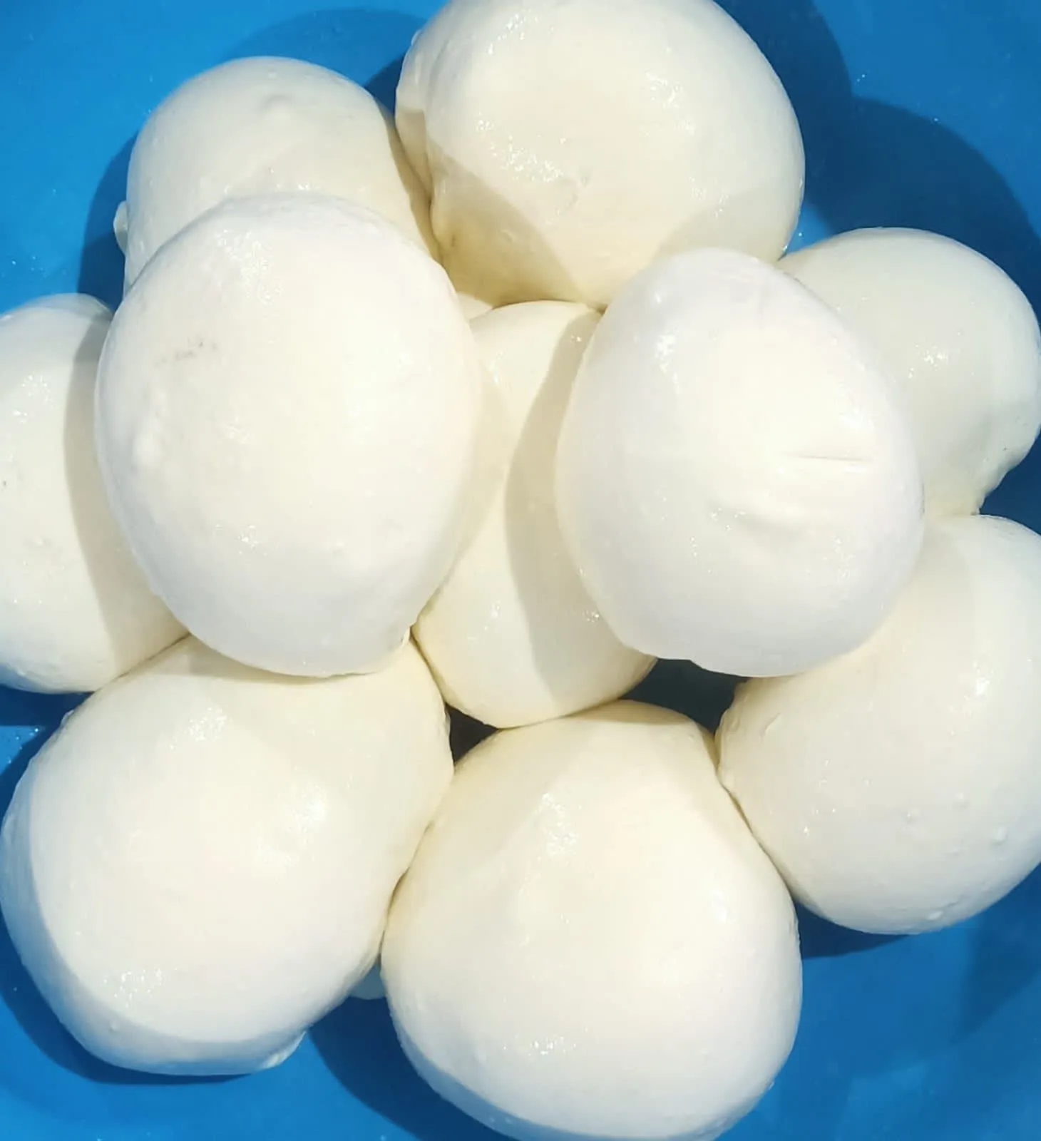 Mozzarella Cheese